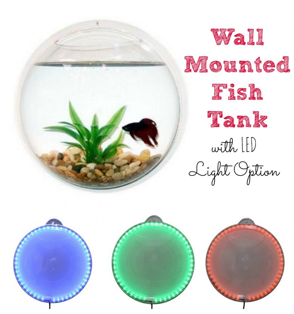 Molded Polycarbonate Tank 1.75 Gallon Molded Plastic Aquarium Tank - 10 ...